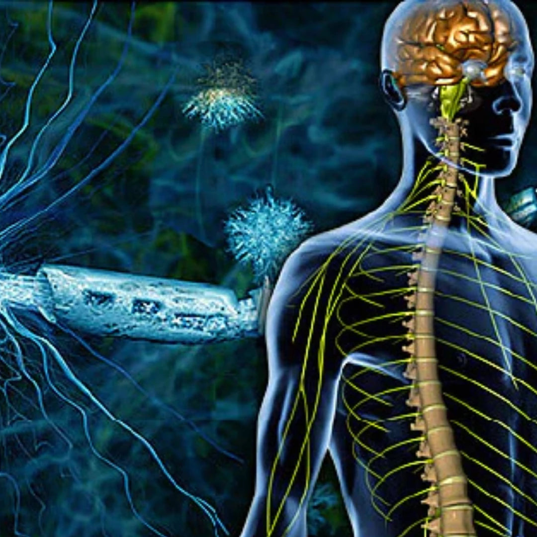 Multiple Sclerosis – Inclusive Inc