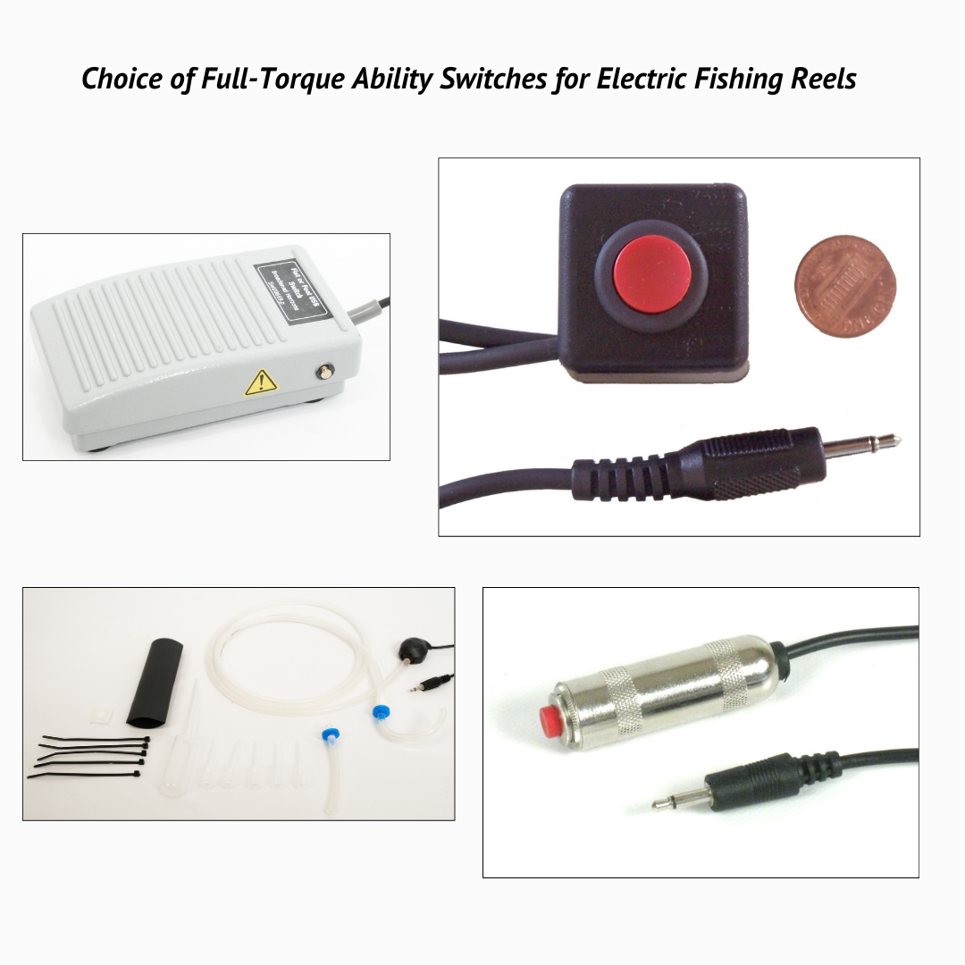 Choice of Full-Torque Ability Switches for Electric Fishing Reels ...
